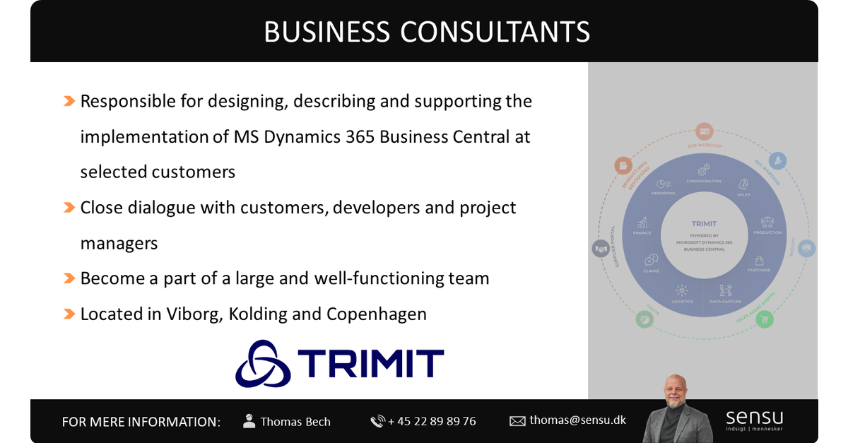 Business Consultants at TRIMIT Group